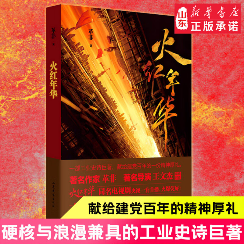 山东发货，速发火红年华同名电视剧原著小说献给建党百年的精神厚礼硬核与浪漫