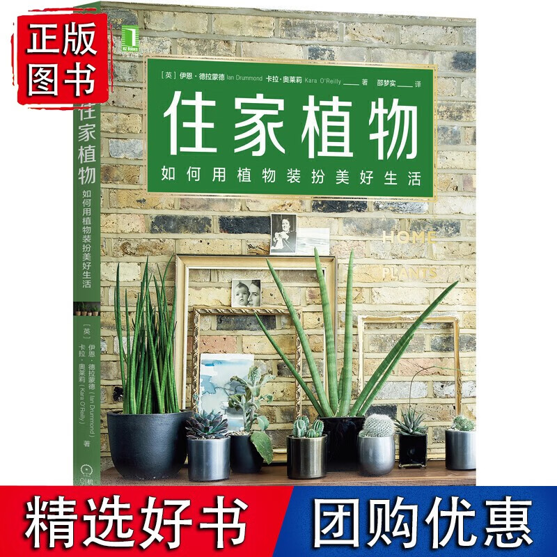 住家植物：如何用植物装扮美好生活