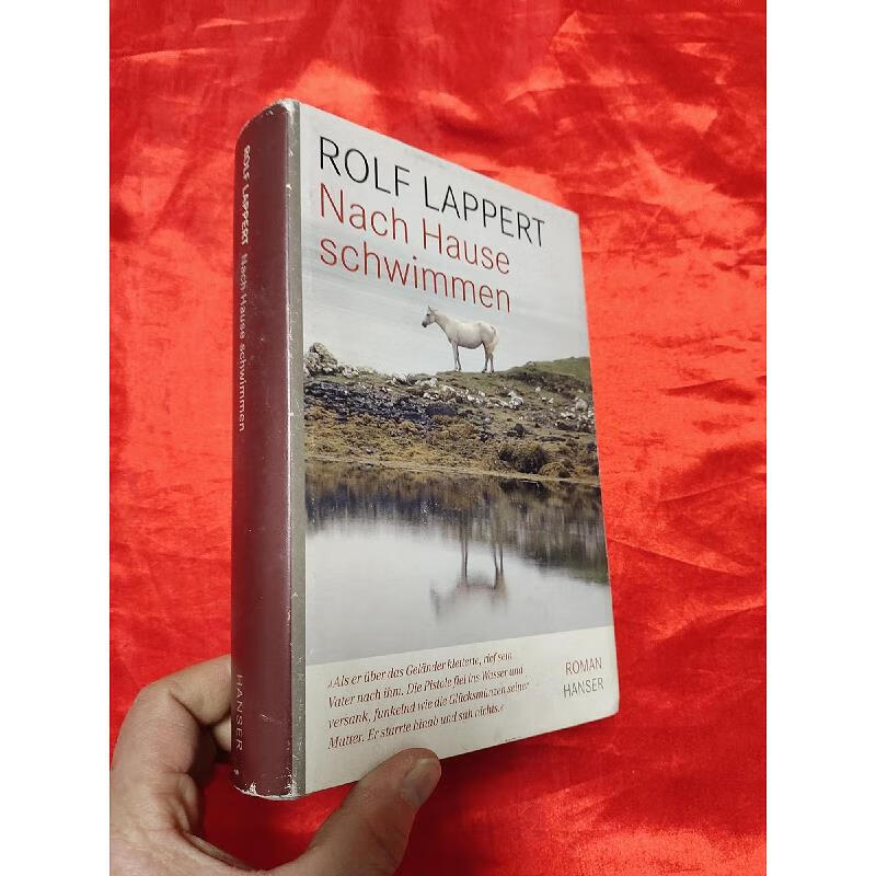 Nach Hause schwimmen (大32开 ,硬精装)【详见图】