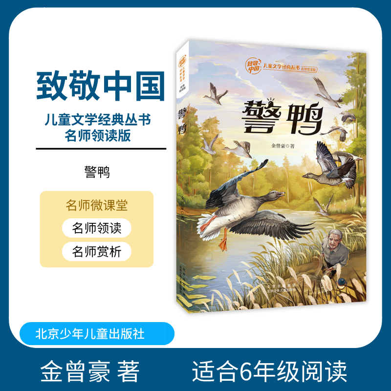 致敬中国 警鸭 金曾豪 北京少年儿童出版社