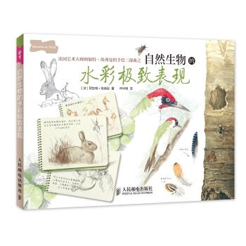 自然生物的水彩极致表现