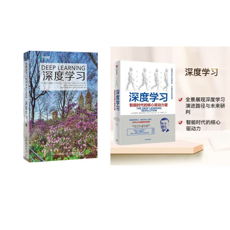 深度学习（套装2册）