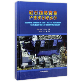 轻水堆核安全严重事故现象学