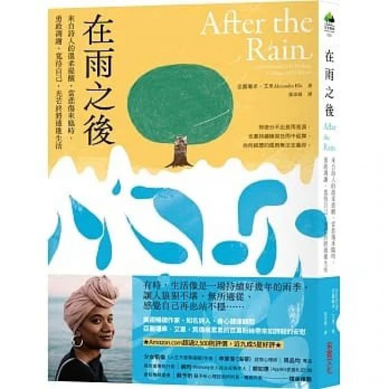 台版 在雨之后 来自诗人的温柔提醒当悲伤来临时勇敢凋谢宽待自己光芒终将透进生活 采实文化 亚丽珊卓艾里 心理励志书籍