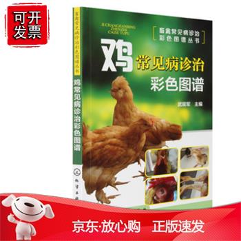 鸡常见病诊治彩色图谱 养鸡技术书大全 鸡病诊治技术书籍科学饲养教程鸡病图解鸡病看图识别与防治书