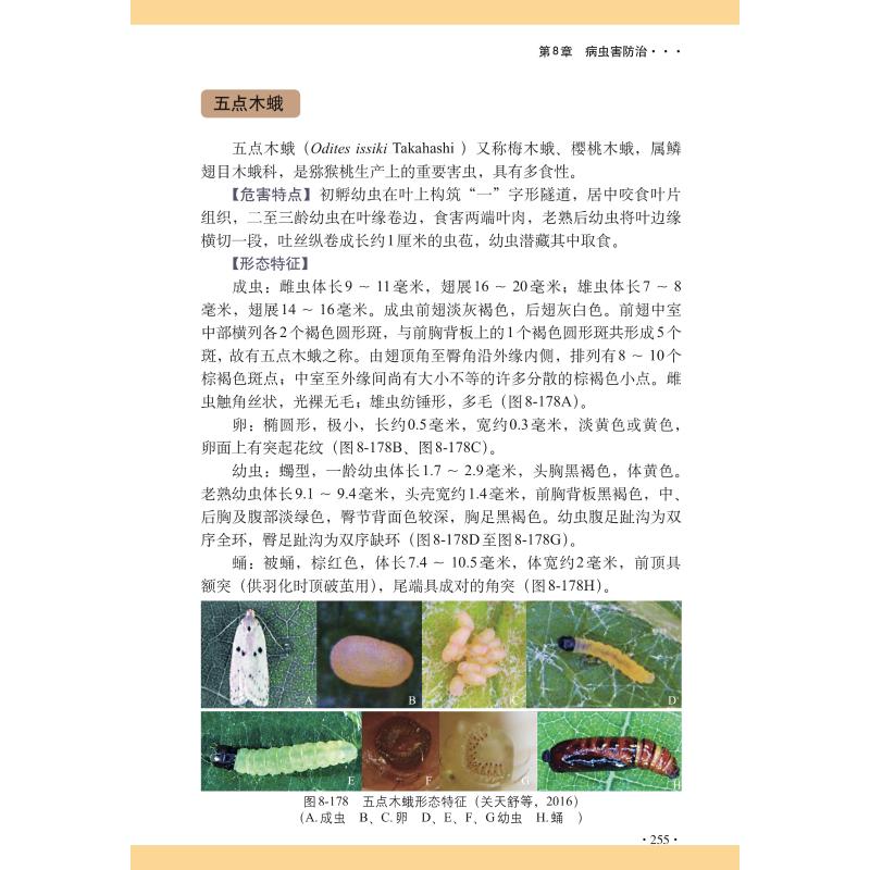 猕猴桃高效栽培与病虫害防治彩色图谱