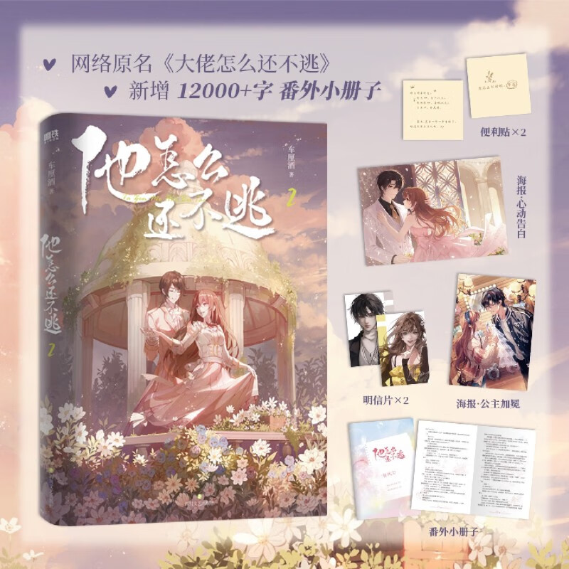 他怎么还不逃(2)车厘酒青春浪漫甜宠代表作 原名《大佬怎么还不逃》顾词×颜路清 青春文学言爱情感小说 磨铁