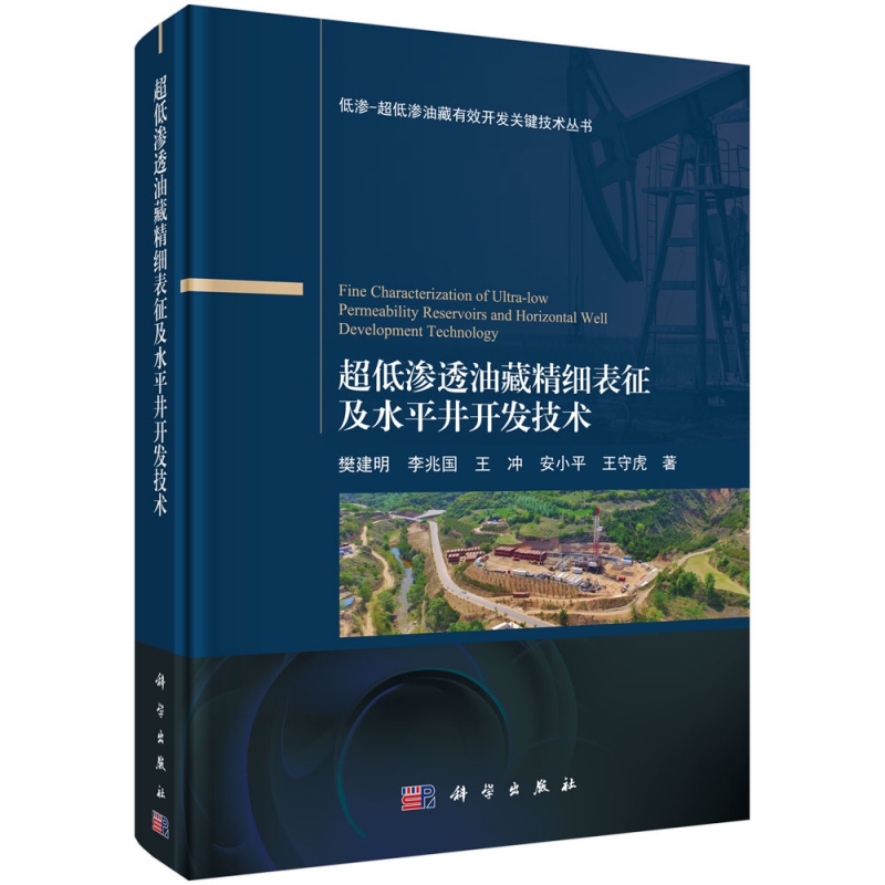 超低渗透油藏精细表征及水平井开发技术
