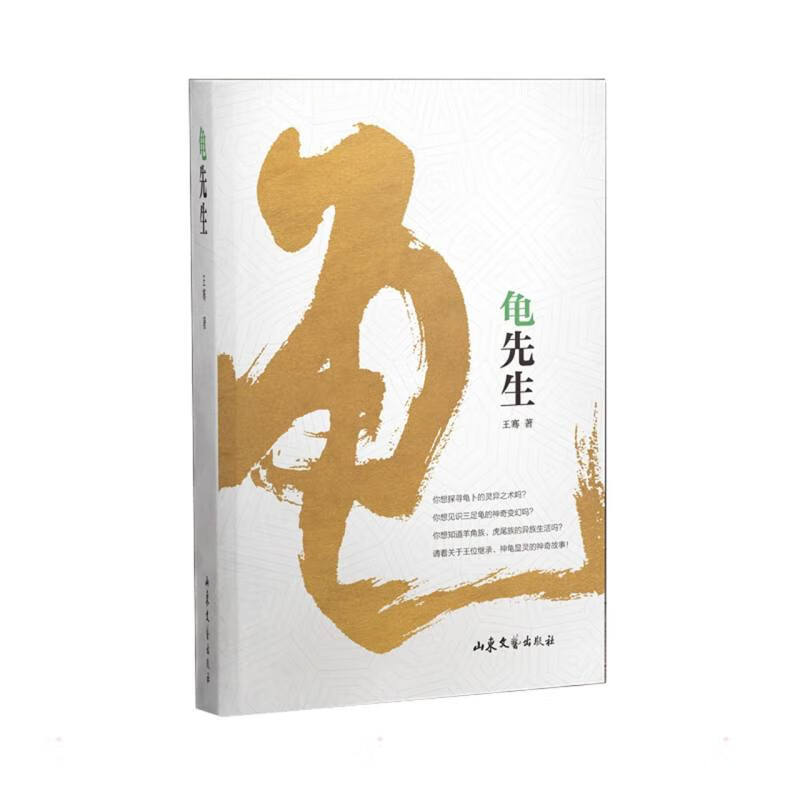 龟先生 王骞 艺术/民间艺术