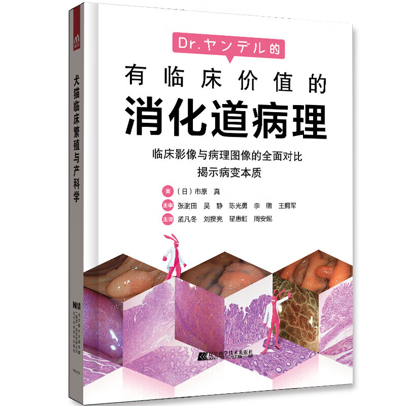 现货 有临床价值的消化道病理 消化病理学实用知识 辽宁科学技术出版社9787559124616 消化科医师用书
