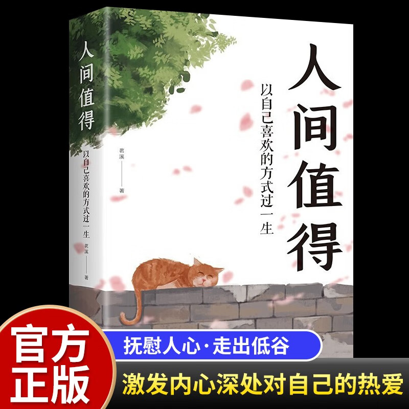 人间值得 以自己喜欢的方式过一生 成功励志情商与情绪青春文学正能量励志书籍 单本：人间值得：以自己喜欢的方式过一生
