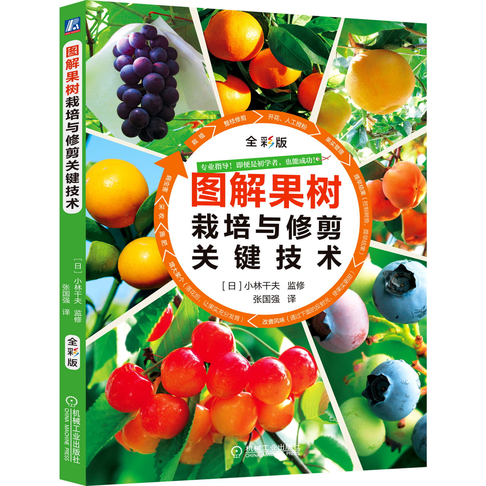 官网 图解果树栽培与修剪关键技术 小林干夫 监修 整形修剪 栽培 葡萄 苹果 蓝莓 无花果 樱桃 繁殖 肥水供应