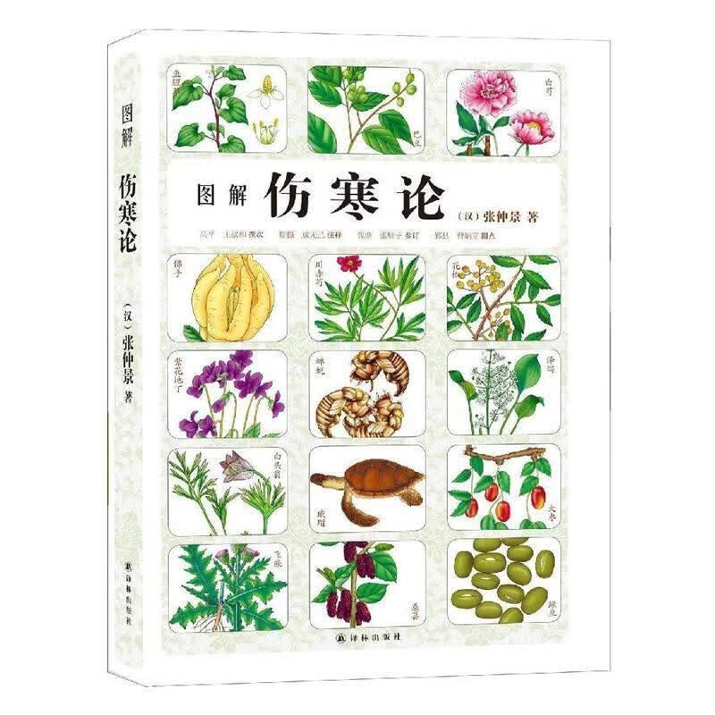 图解伤寒论