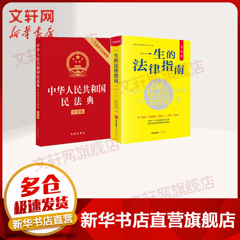 民法典大字版+一生的法律指南 图书