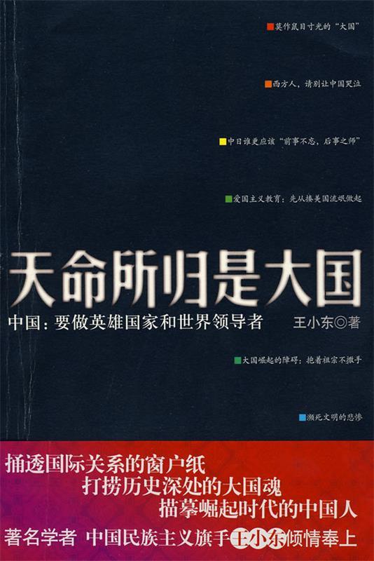 天命所归是大国 王小东著