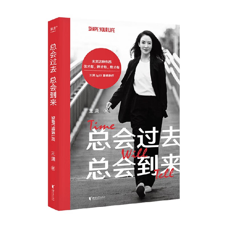 总会过去 总会到来 王潇 著 励志