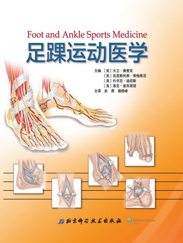 足踝运动医学 大卫·奥查克 (Altchek D.W.)【书】