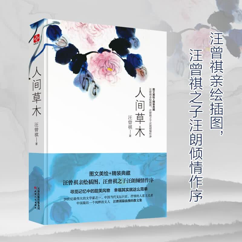 汪曾祺散文集全集：人间草木+人间有味+人间小暖+人生有趣 作品集可选 人间草木 汪曾祺散文精选集