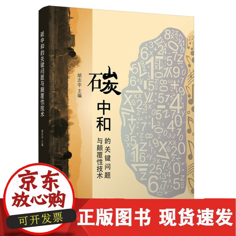 C 书籍 碳中和的关键问题与颠覆性技术 胡志宇 著清华大学出版社9787302621096