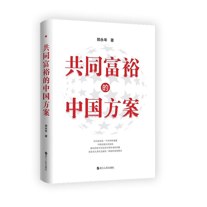 共同富裕的中国方案