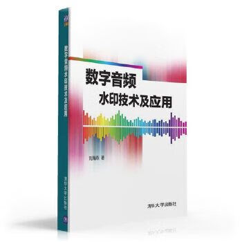 数字音频水印技术及应用 刘海燕