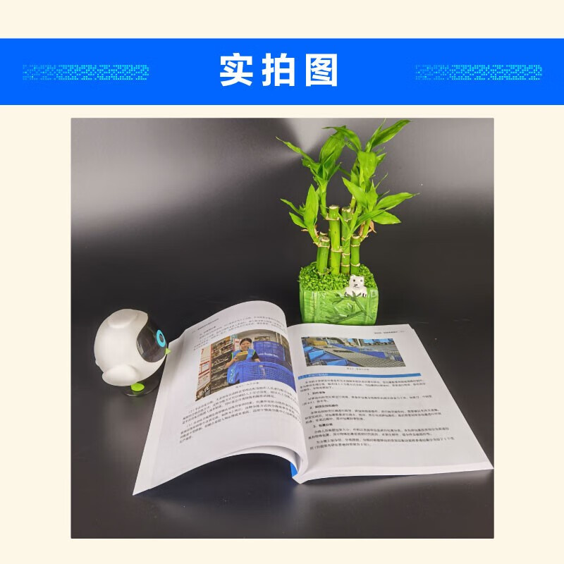 智慧物流末端综合实训（全彩）