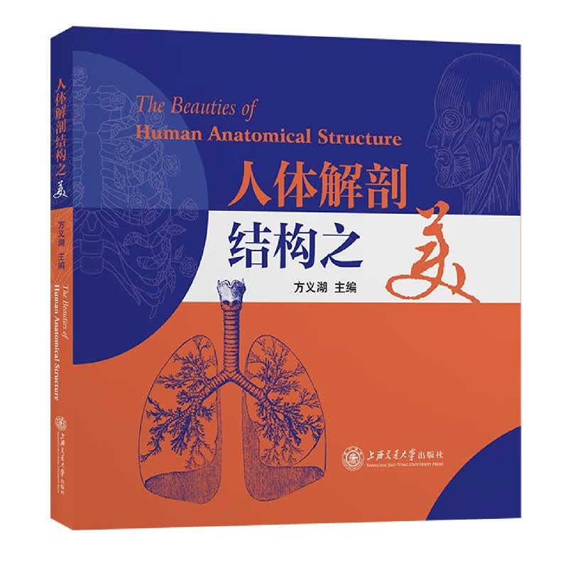 人体解剖结构之美(精)