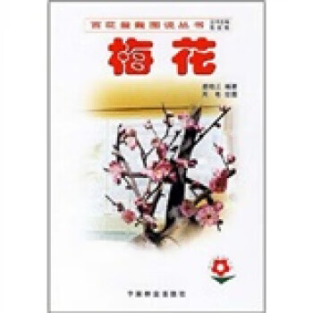 梅花【，放心购买】