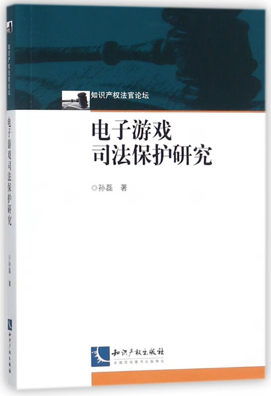 电子游戏司法保护研究/知识产权法官论坛