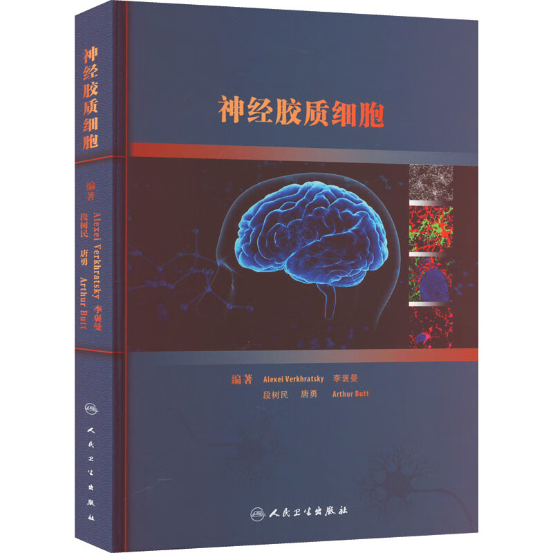 神经胶质细胞