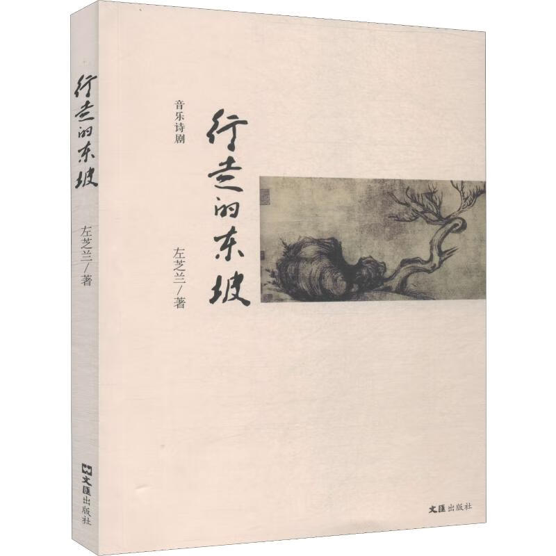 行走的东坡 左芝兰 艺术/舞蹈