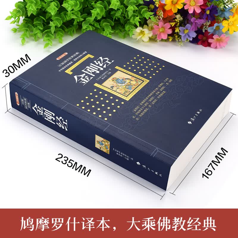 白话译注金刚经原文完整版典藏版 佛教经书佛学经典书籍修心课图说金刚经心经六祖坛经地藏菩萨本愿