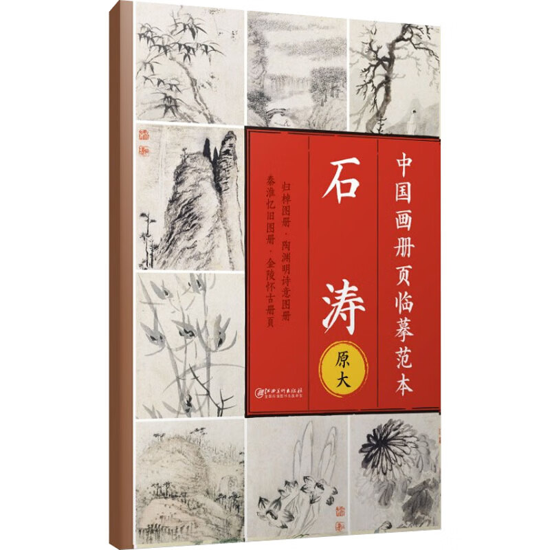 中国画册页临摹范本 石涛 图书