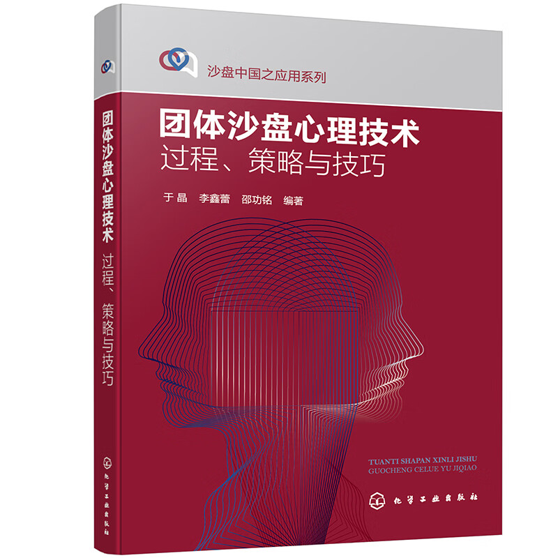沙盘中国之应用系列--团体沙盘心理技术：过程、策略与技巧