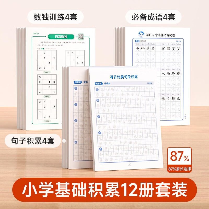 时光学每日优美句子积累大全一二三四五六年级词语积累好词好句好段字帖练字摘抄本每日一练小学生专用语文句式专项强化训练人教版 【全12册多数人选择】句子+成语+数独