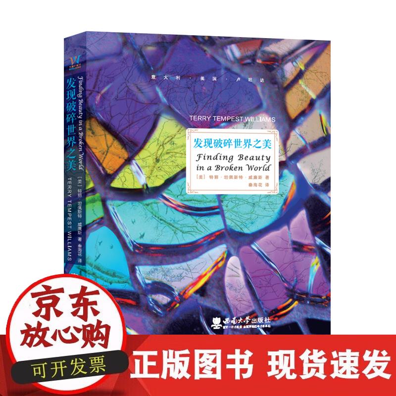 【现货】发现破碎世界之美