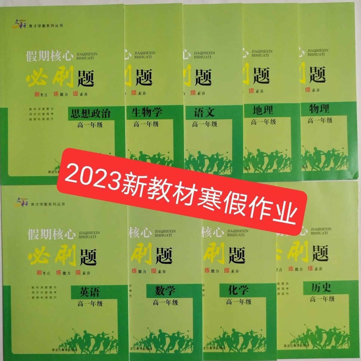 2023假期核心必刷题 语文数学英语物理化生政史 高一寒假作业 语文 高一人教版