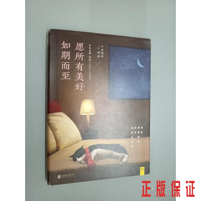 保证 可开发票！！愿所有美好如期而至