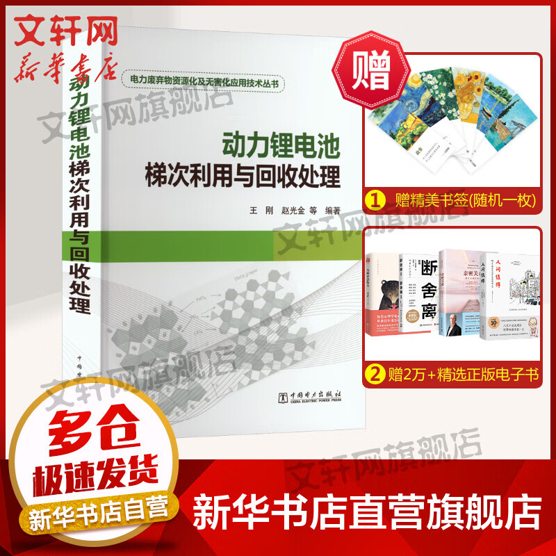 动力锂电池梯次利用与回收处理 图书