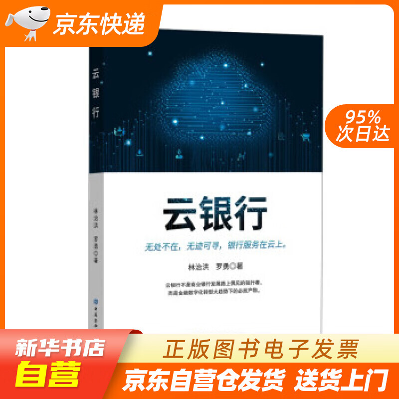 云银行 林治洪等 著 中国金融出版社 9787522001616 籍