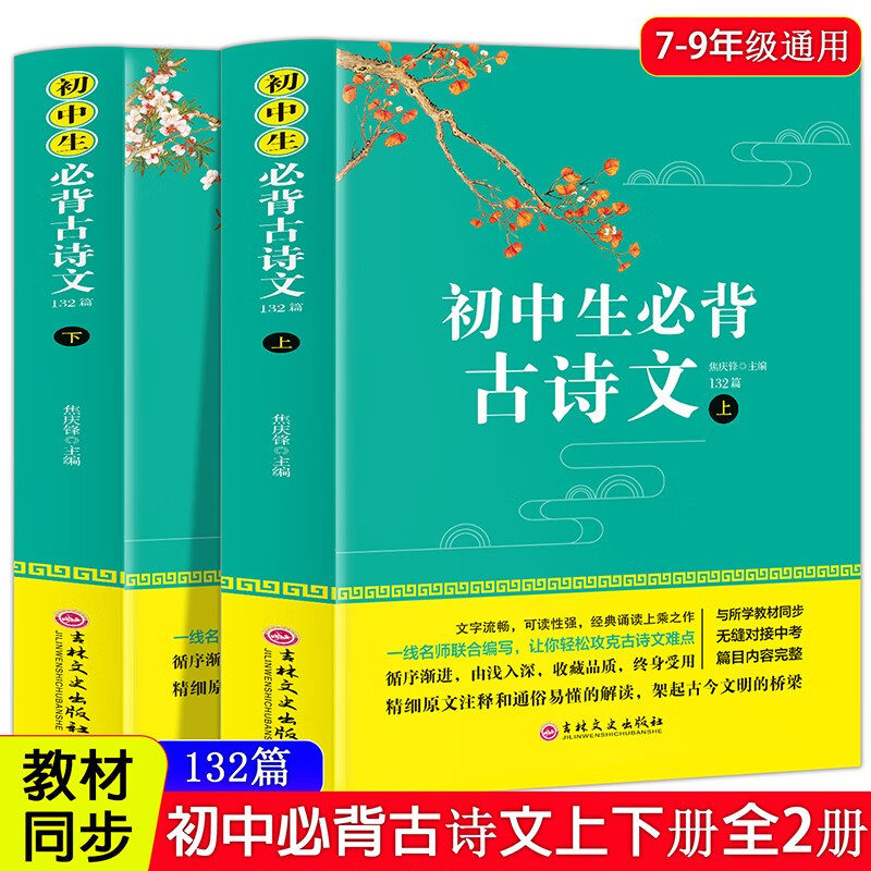 初中生必备古诗文132篇详解版(2册)人教版文言文全解阅读训练 中学生必背古诗词全集七八九年级课外书
