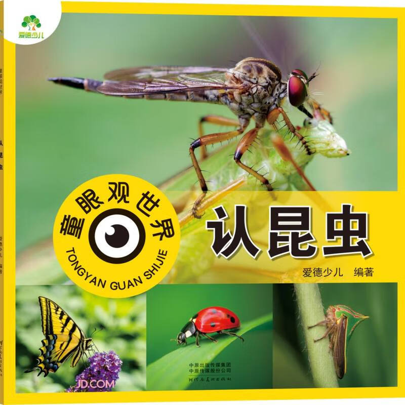 认昆虫/童眼观世界