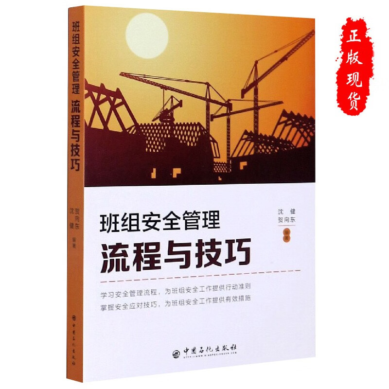 班组安全管理流程与技巧团队建设班组管理书籍9787511458582