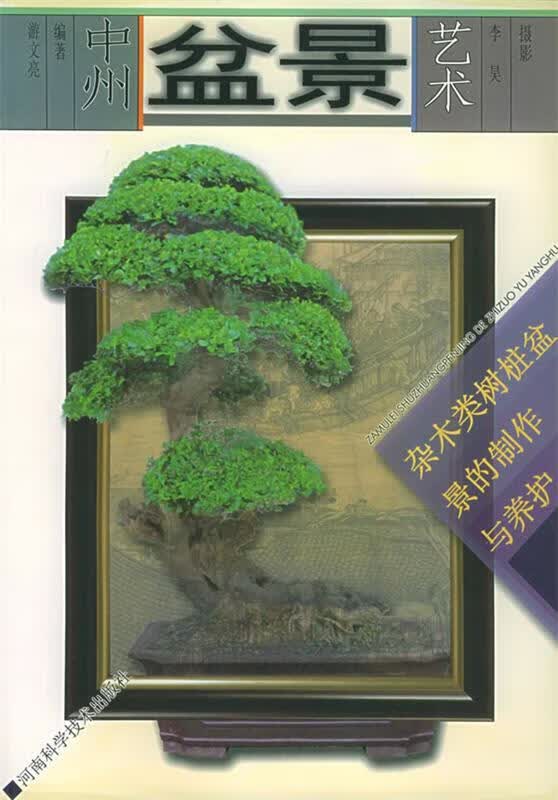 中州盆景艺术 游文亮