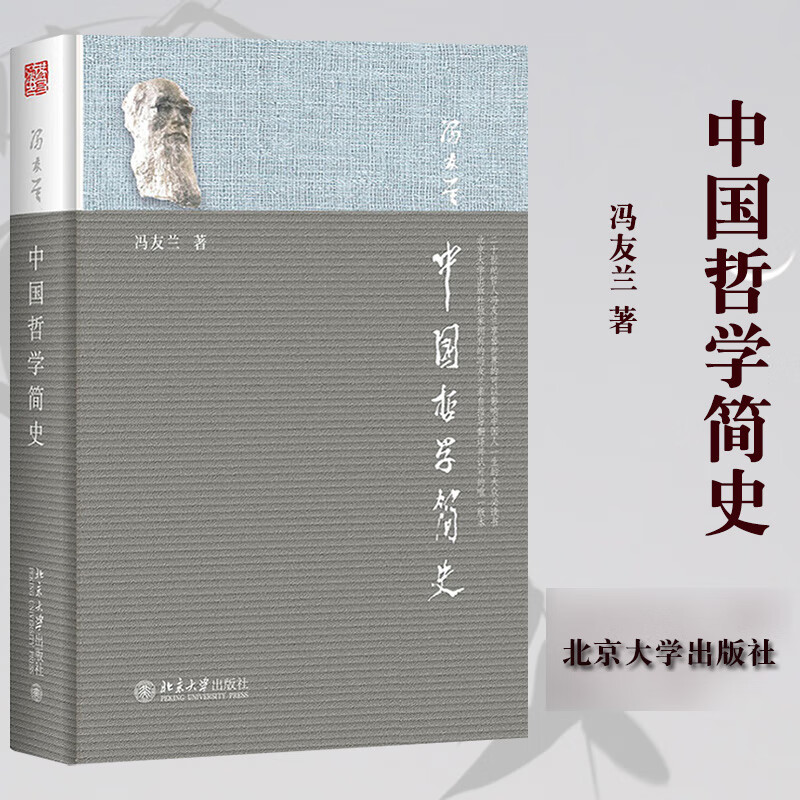 北大版 中国哲学简史 冯友兰著 涂又光译 北京大学出版社 中国哲学史教程 大学哲学教材 中国哲学教科