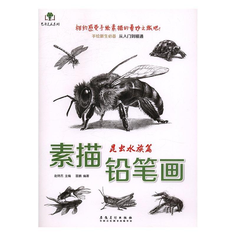 素描铅笔画   族篇苗鹏安徽社9787539870267 绘画书籍
