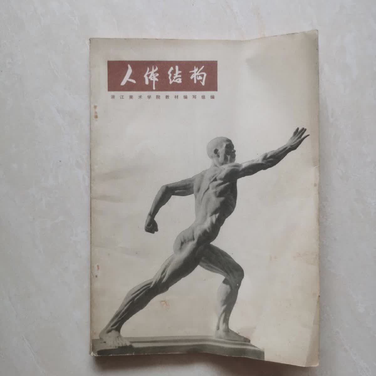 可开发票 保证！人体结构