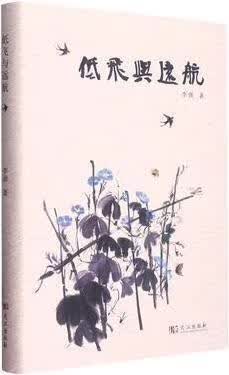 低飞与远航 李强著 武汉出版社