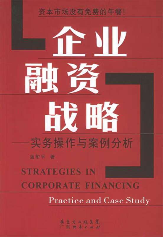 企业融资战略