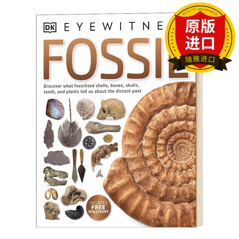英文原版 目击者系列 化石 Fossil DK Eyewitness 英文版 DK 进口英语原版书籍
